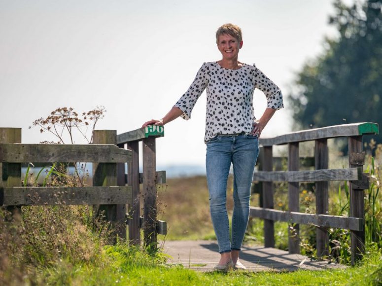 Meten, meten, meten - WMD